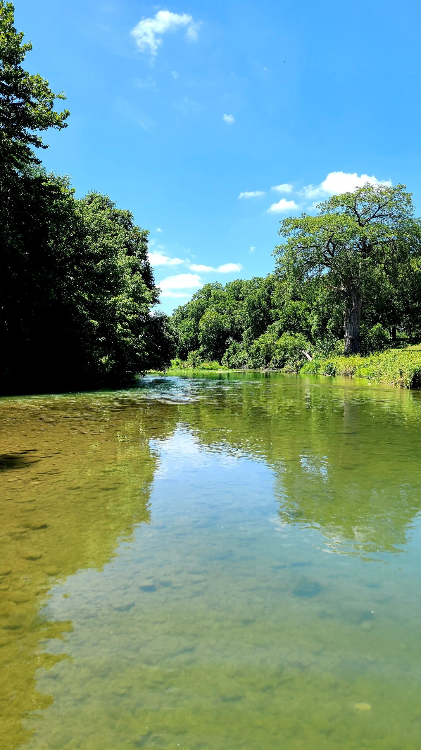 San Marcos River in Martindale Tx – TG Canoes & Kayaks
